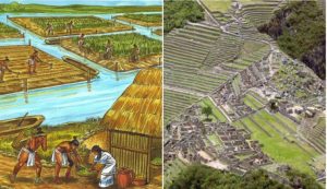 Mayan Civilization: Archaeologists Make Incredible Discovery | OceanDraw