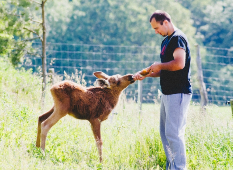 The Touching Story Of A Man Saving A Moose In Distress | OceanDraw